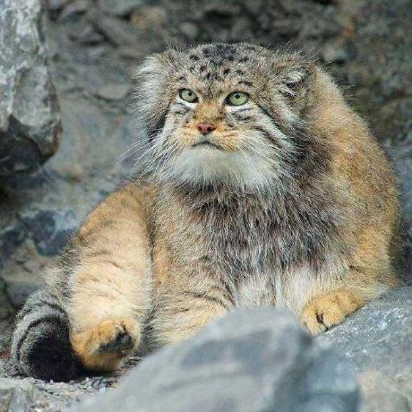 Hope666666 Hope Github