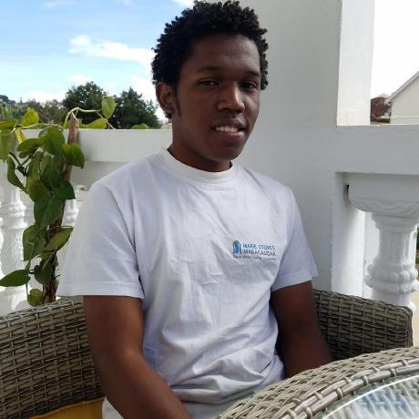 Ainabug Aina Rakoto Github