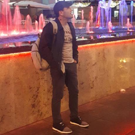 Amiranify Amiran Shumilin Github