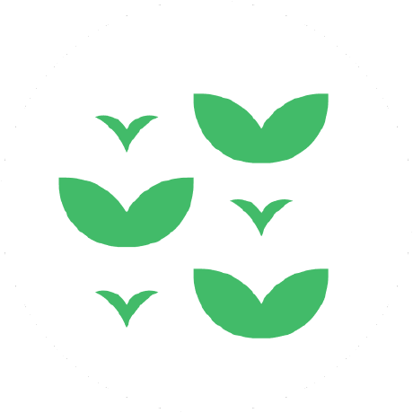 Garden Computing Github