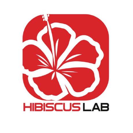 Hibiscus Lab Github