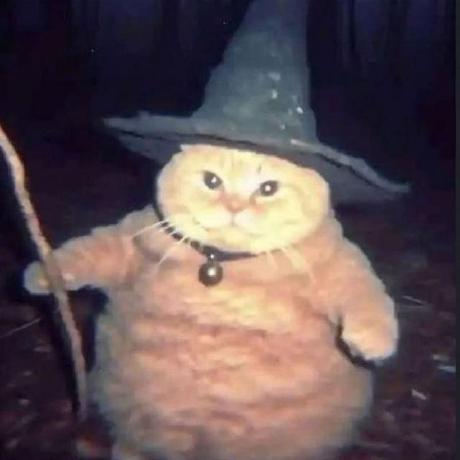 Kuznetsov Artyom Github