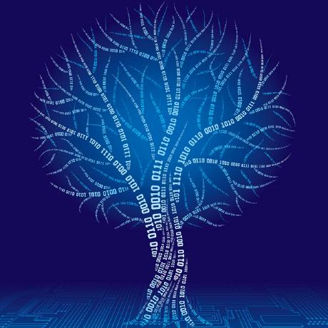 Fruit Of Binary Tree Github