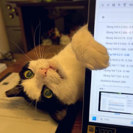 Helenhelene Helen Github