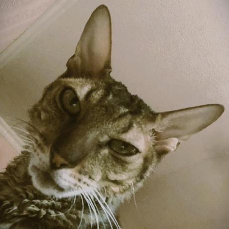 Supernova Blast Mitja Github