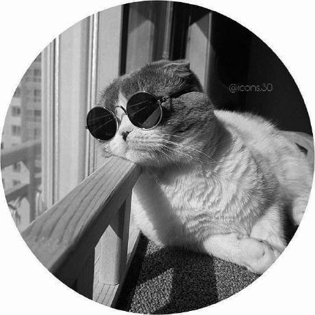 Gauravk Io Gaurav Github