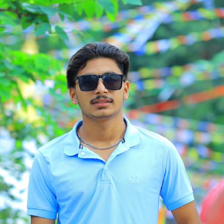 Rohitpal2425 Rohit Pal Github