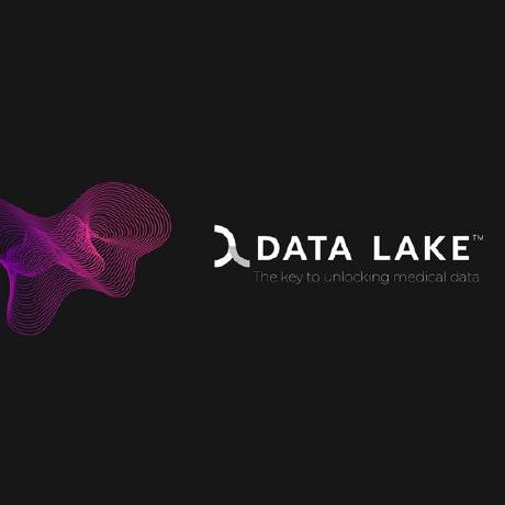 Data Lake Github