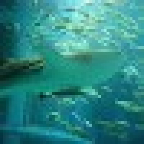 Kawamura Design Github