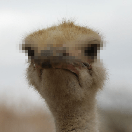 Thenameasaisnotavailable Asa Github