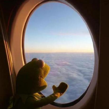 Freddy990117 Freddy Clj Github