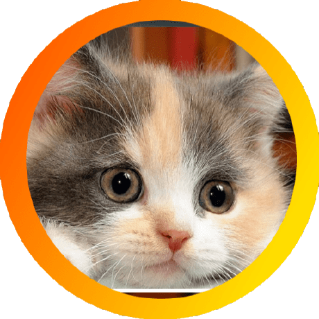 Zznich0las Nicholas Github