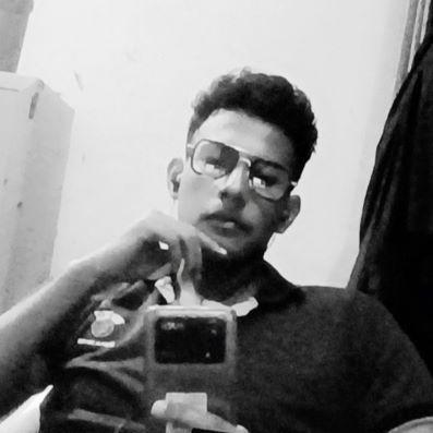 Princesingh04 Prince Singh Github