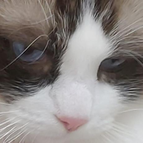 Github Zer0 One Fuckbot - Artistic 4K Gradient Arts | Free Download