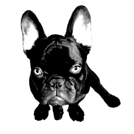 Mr Moose And Associates Github