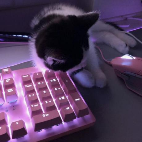 Maarryamm Mari 3 Github