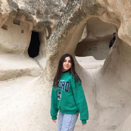 Beyzakrslnn Beyza Github