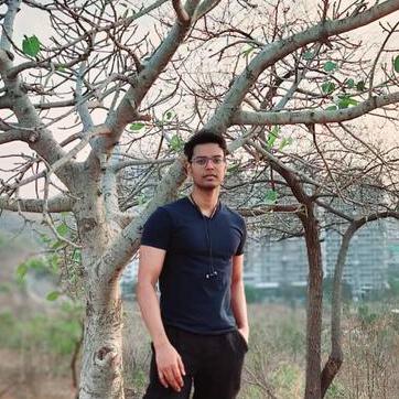 Pratik43210 Pratik Raja Github