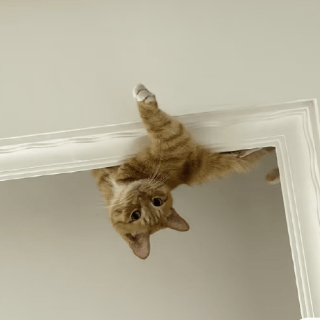 Sloanwan Sloan Github