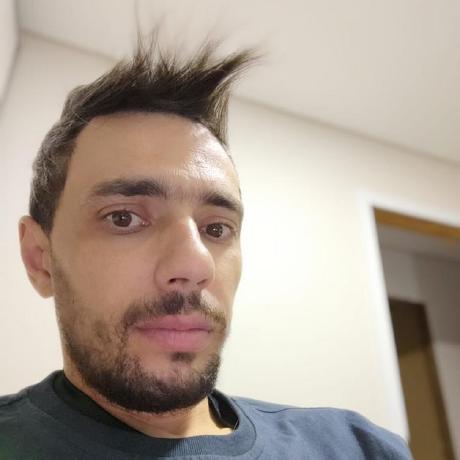 Alison Werlich Alison Werlich Github