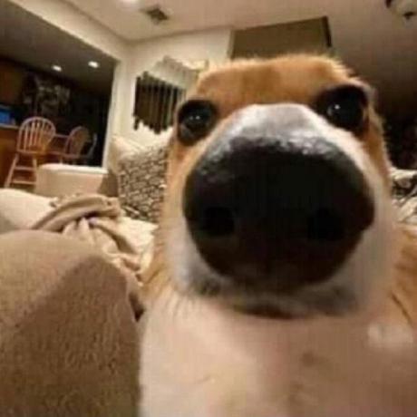 Mateog20 Mateo Garcia Github