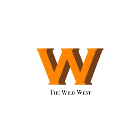 Teamwildwest Github