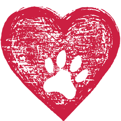 Revival Animal Health Github