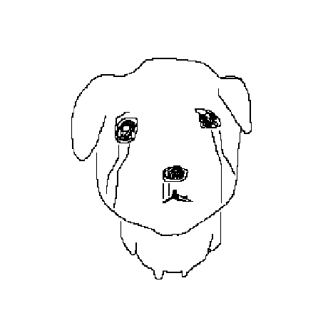 Sjerry Kim K Jh Github