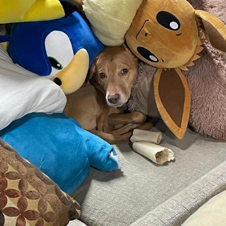 Highland Github - Download Beautiful Minimal Photo | Mobile