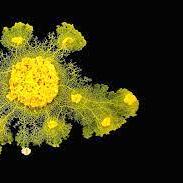 Juliet48 Juliet Github - Vintage Illustration Collection - 4K Quality