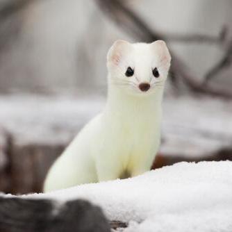 Robbie Lpt Github - Download Elegant Sunset Art | 4K