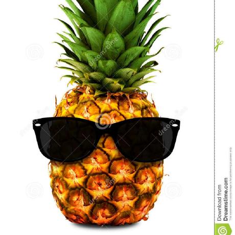 Martin Martini Martin Martini Github