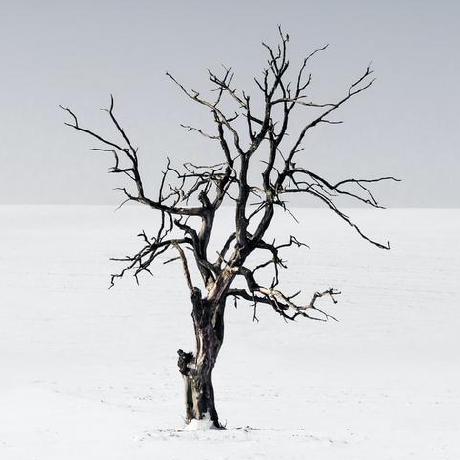 Robertiatan Robert Alexander Iatan Github