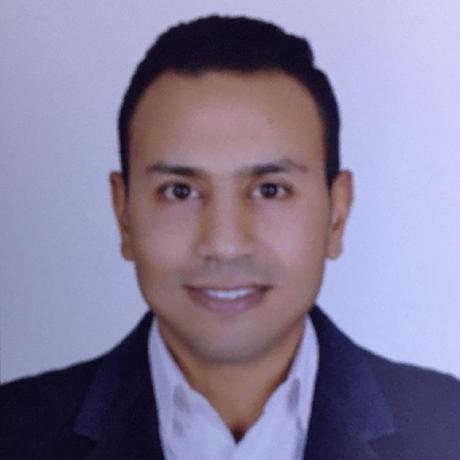 Hisham Sultan Github