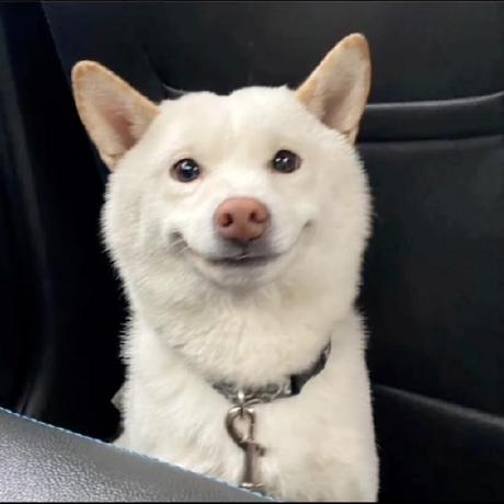 Spire Network Github