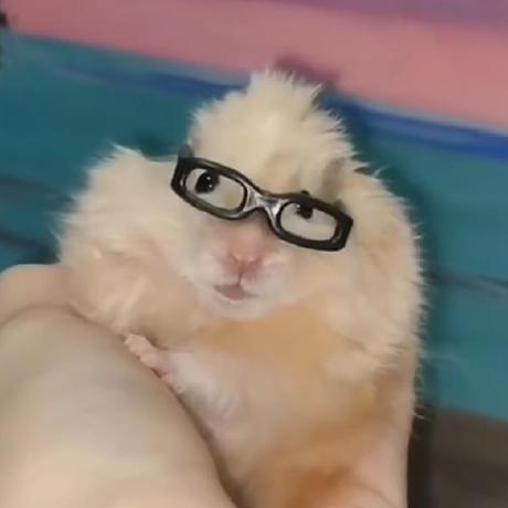 Eomhyeyeong 엄혜영 Github