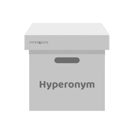 Hyperonym Archives Github