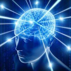 Cs Uob Individual Project Github