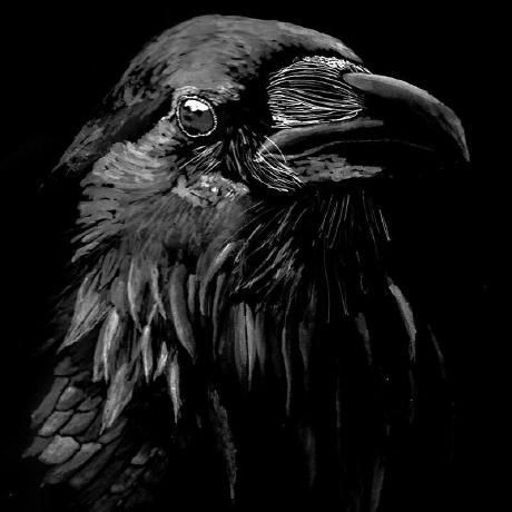 Timothy Rogers Github