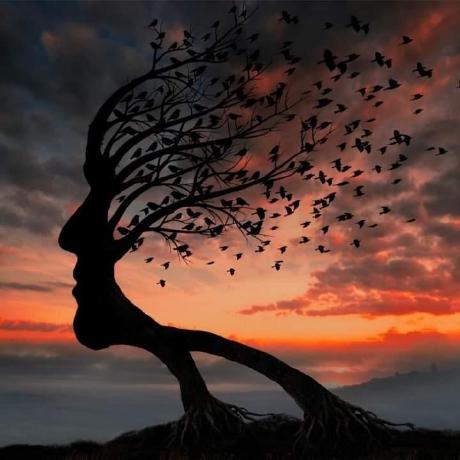 Amar 3 Amar Yadav Github