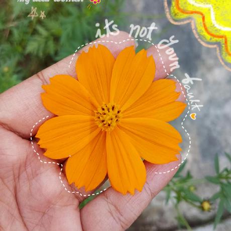 Antiquely3059 Ritesh Github