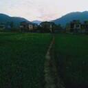 Tuphan1 Tuphan Bohara Github