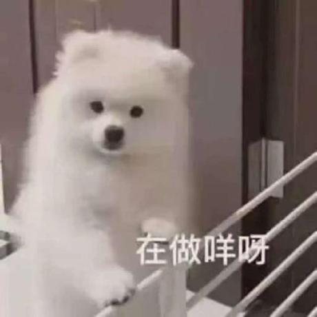 Jinghan11 Jinghan Lin Github