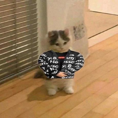 Satvik89 Satvik Github