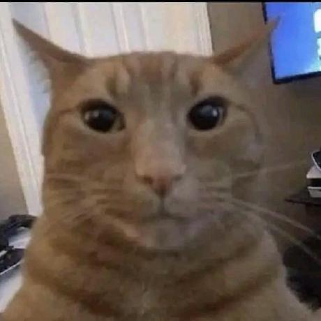 Lorenzo784 Lorenzo López Github