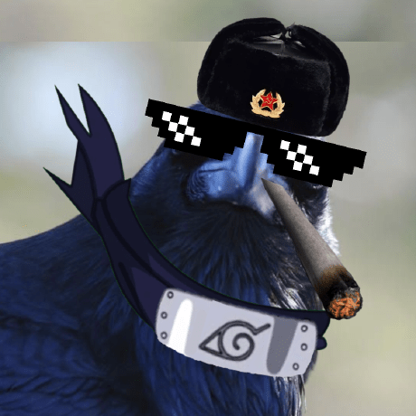 Darkraven007 The Dark Raven Github