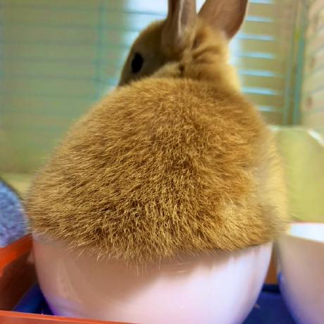 Yu Sato00 サトウ ユウ Github