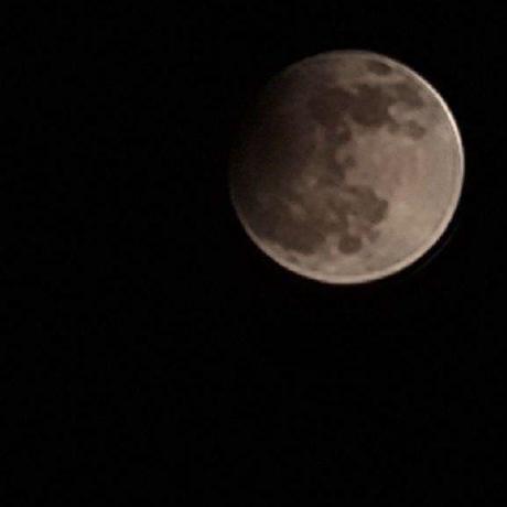 Maryam 9 Maryam Github