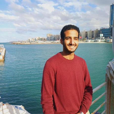 Asser146 Asser Tamer Github