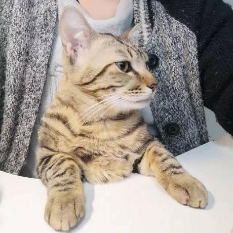 Github Jlx Dxl Robotics Motion Planning - Premium Geometric Image Gallery - 8K